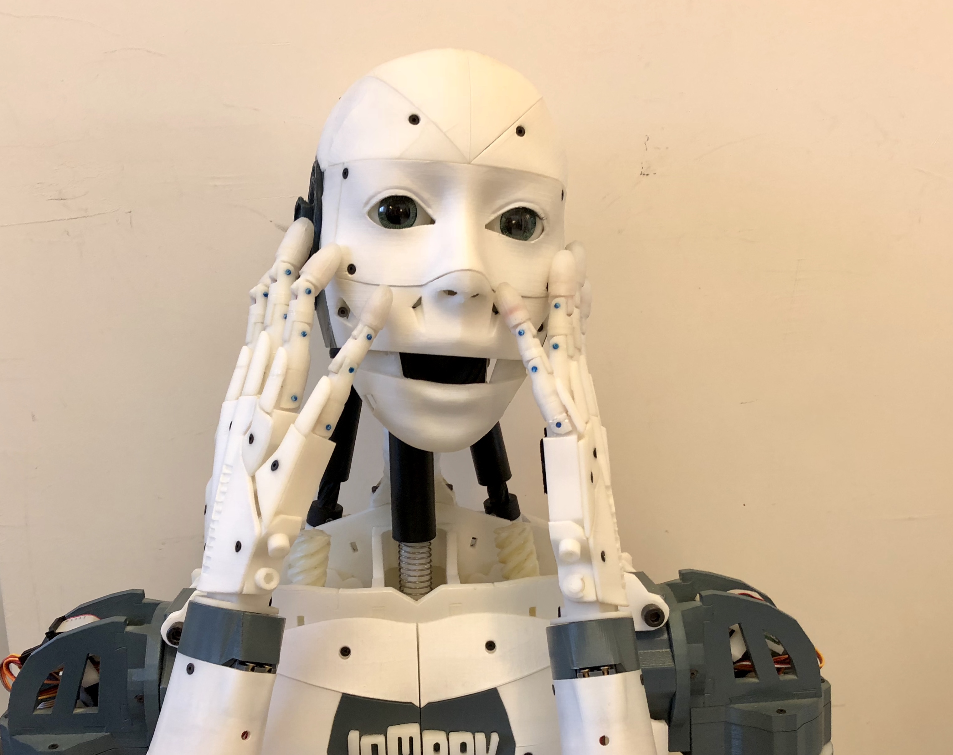 Stop the scream · Issue #293 · MyRobotLab/myrobotlab · GitHub