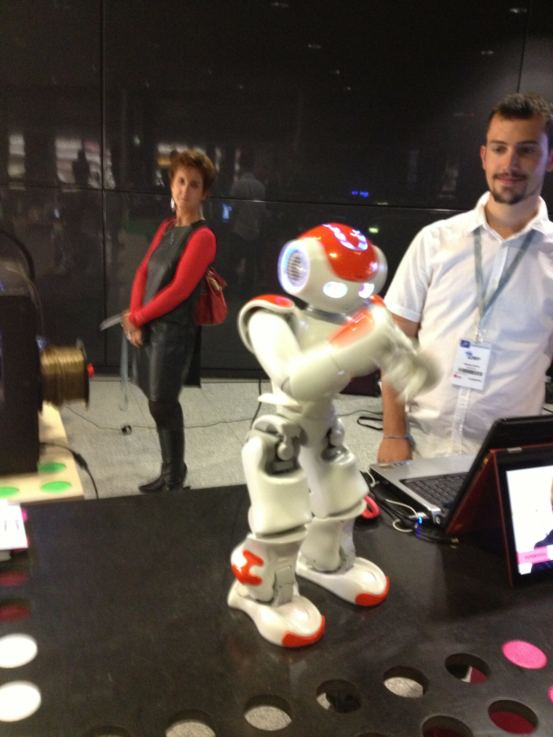 Makerfaire Roma and Rennes - InMoov